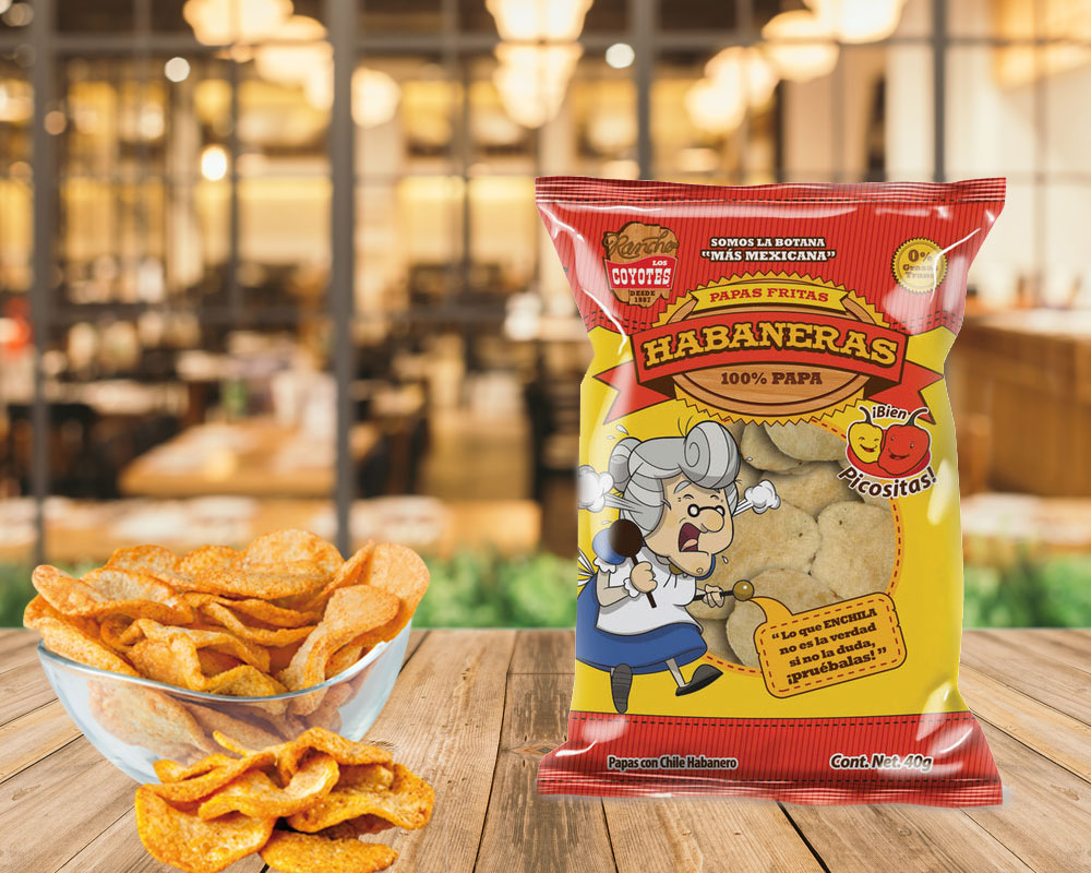 Chips Packaging Design and Material