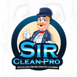 How Mascot Logo Design Boost Your Brand Identity? – Complete Guide