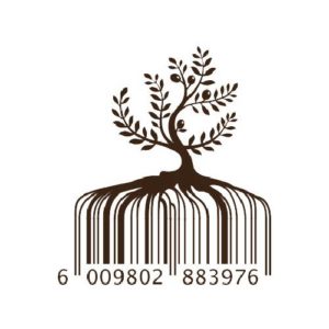 9 Essential design Elements for Professional Food Packaging