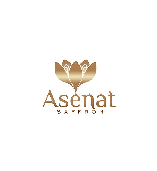 Indian Retail Logo