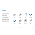 Brand Manual: Complete Design Guidelines to Amplify Business